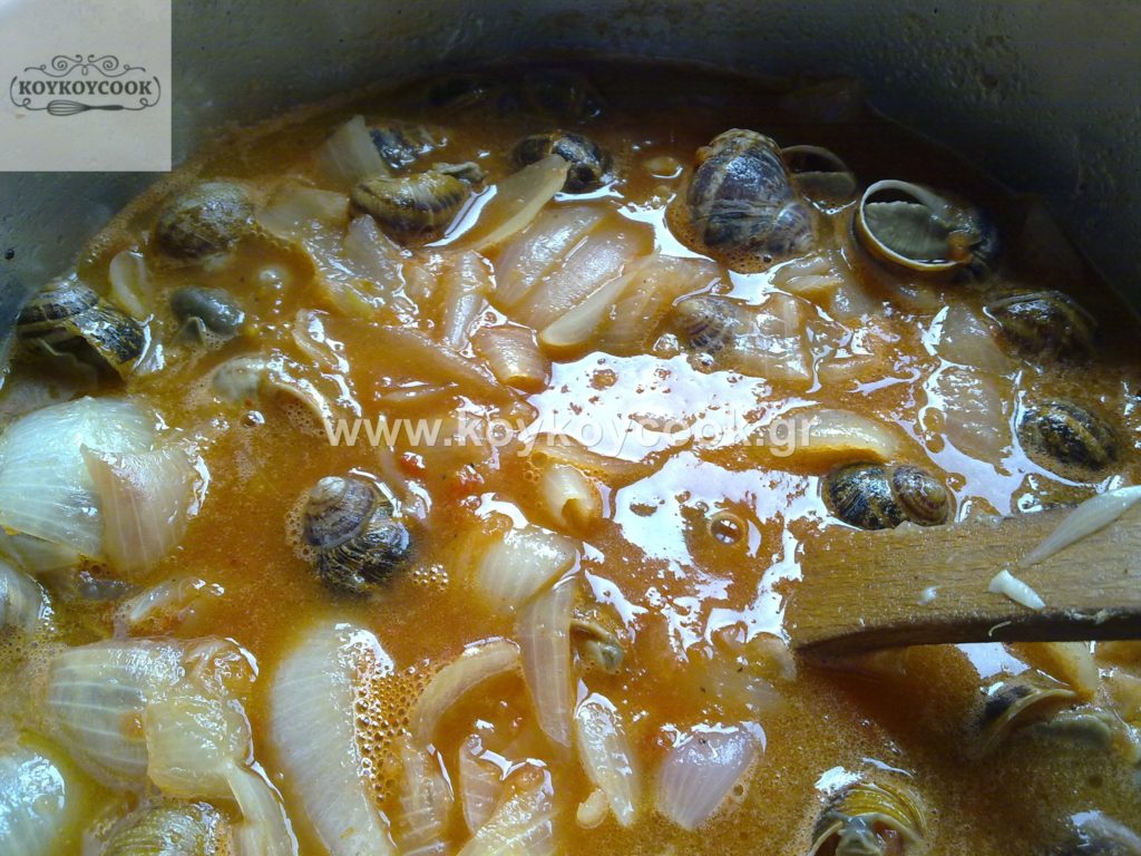 ΣΑΛΙΓΚΑΡΙΑ ΣΤΙΦΑΔΟ – Koykoycook
