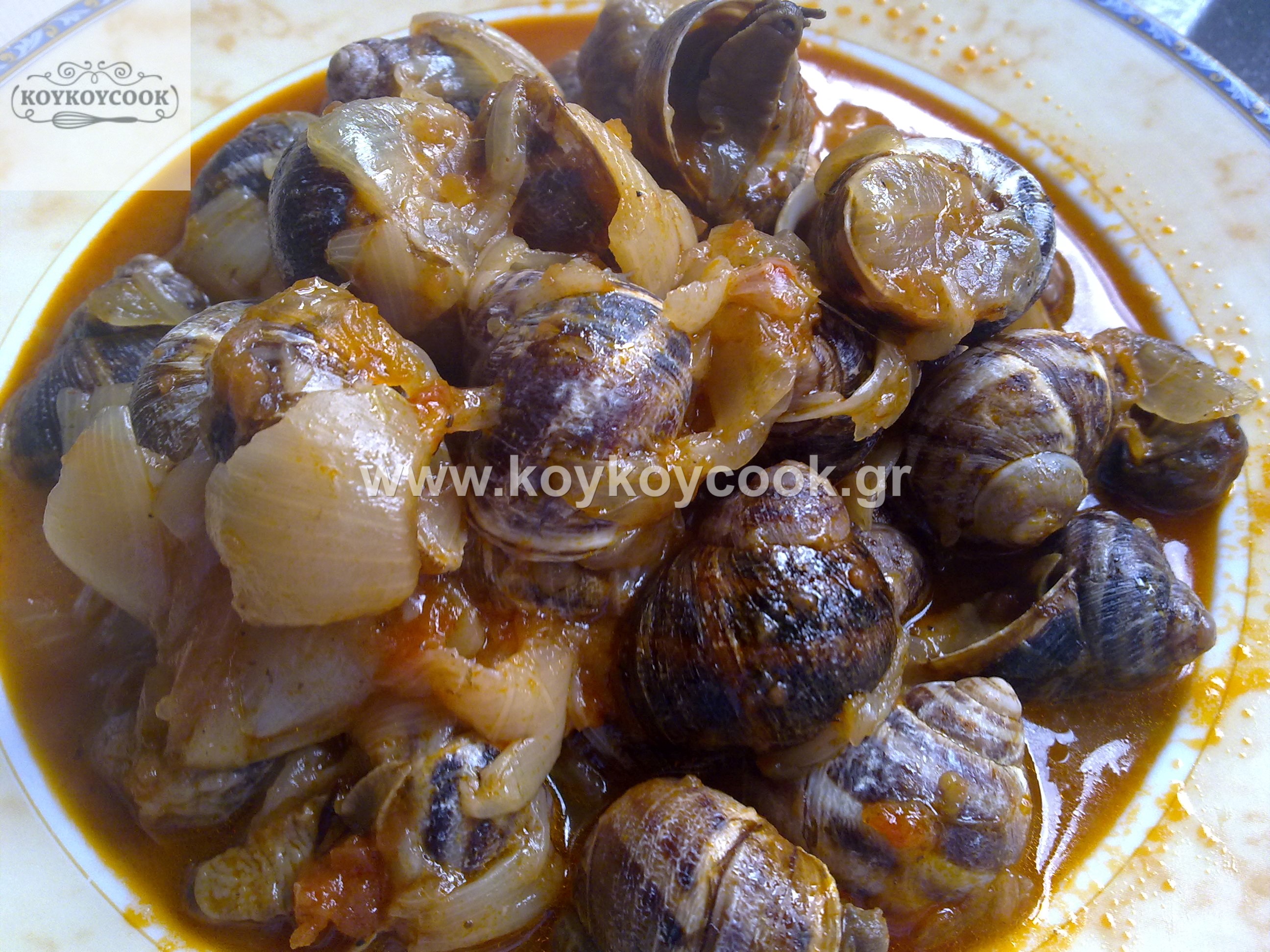ΣΑΛΙΓΚΑΡΙΑ ΣΤΙΦΑΔΟ – Koykoycook