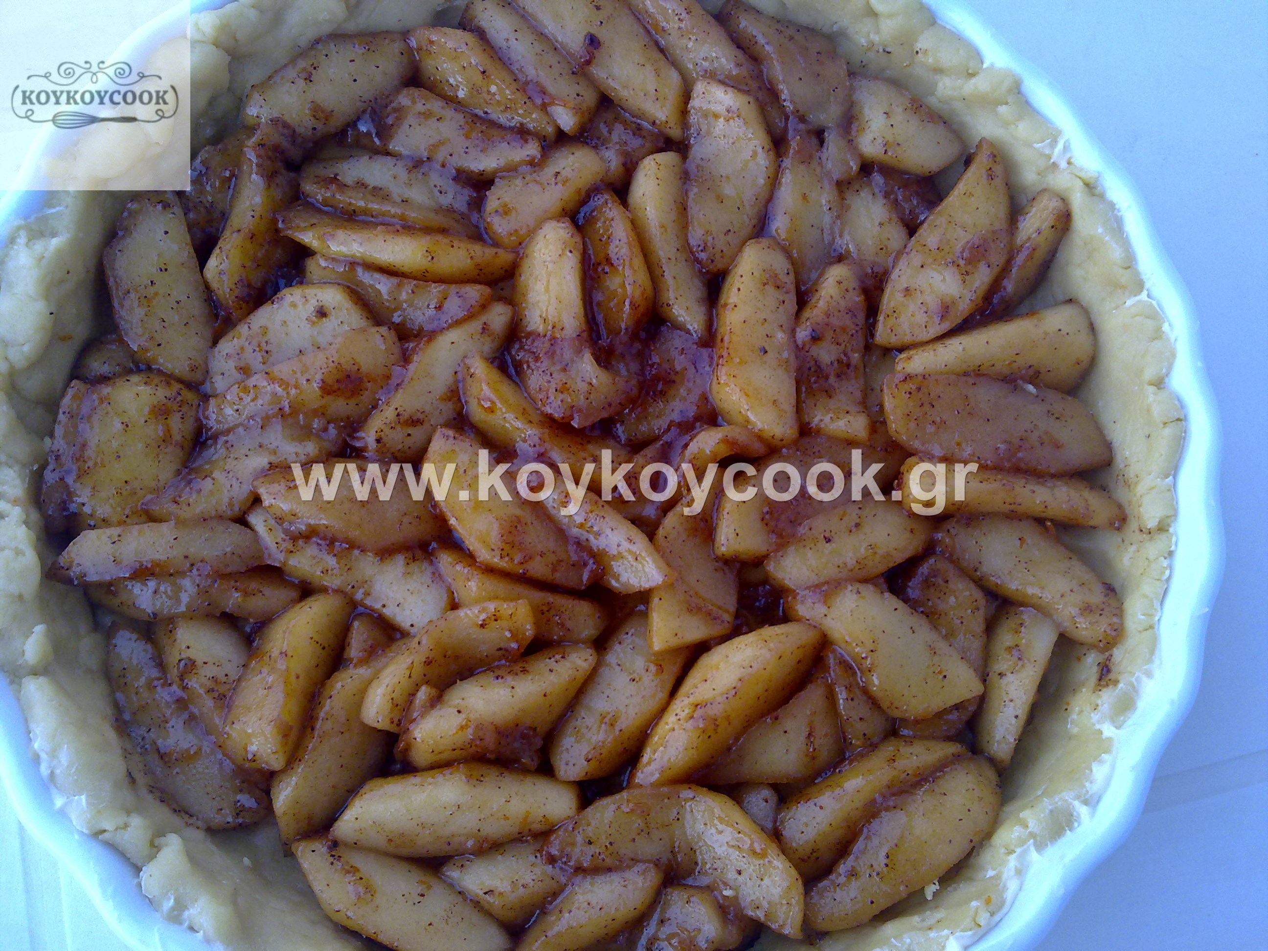 ΜΗΛΟΠΙΤΑ ΧΡΙΣΤΟΥΓΕΝΙΑΤΙΚΗ – Koykoycook