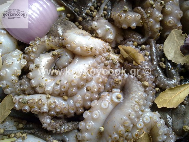 ΧΤΑΠΟΔΙ ΣΤΗΝ ΓΑΣΤΡΑ – Koykoycook