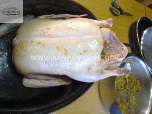 ΠΑΠΙΑ ΜΕ ΣΑΛΤΣΑ ΠΟΡΤΟΚΑΛΙ ΓΕΜΙΣΤΗ ΜΕ ΛΑΧΑΝΙΚΑ & ΚΟΥΚΟΥΝΑΡΙ ΣΤΗΝ ΓΑΣΤΡΑ ...